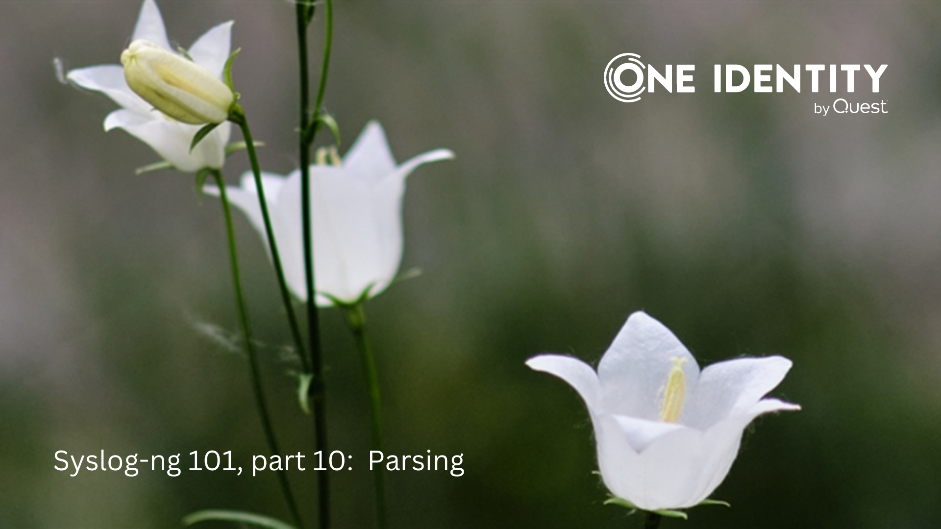 Syslog-ng 101, part 10: Parsing | DT Asia