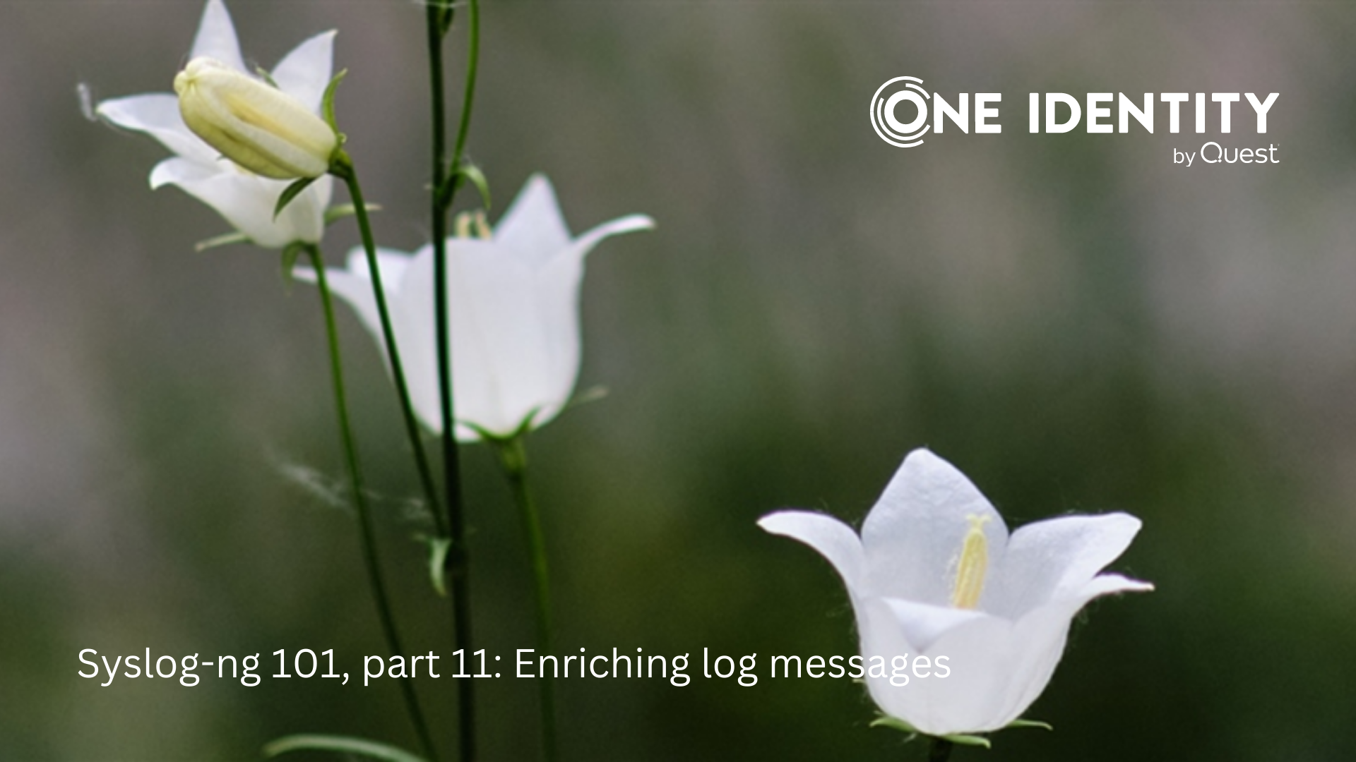 Syslog-ng 101, part 11: Enriching log messages | DT Asia