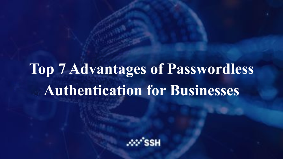 Top 7 Advantages of Passwordless Authentication for Businesses | DT Asia